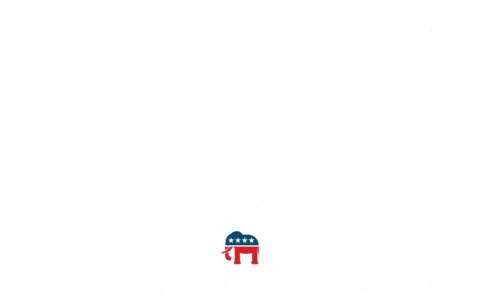 Stephanie Gricius | House District 50